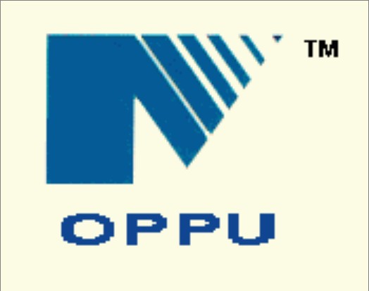 Tianjin Oppu Hardware Co.,Ltd -China Fastener Info